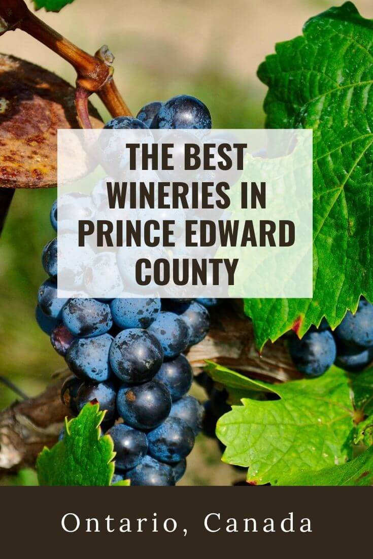 The Best Wineries in Prince Edward County You Should Visit This Year