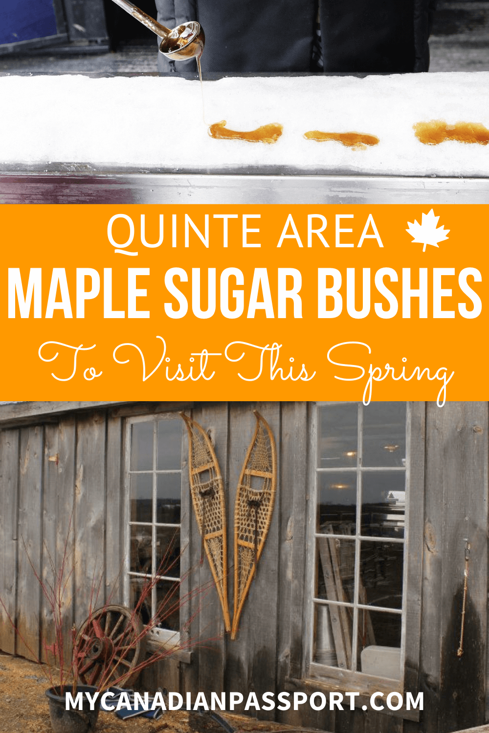 Quinte Area Maple Sugar Bushes to Visit this Spring