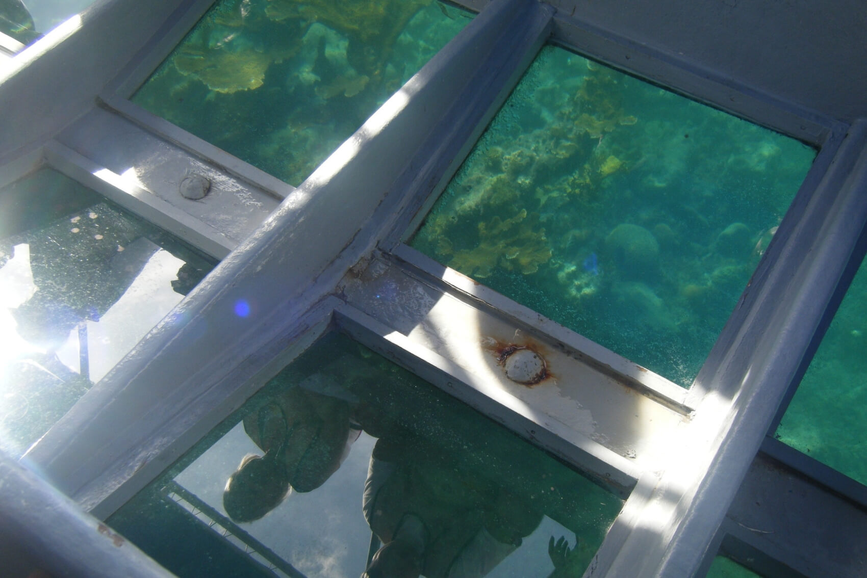 How to Avoid Getting Seasick… and What You Can Do if it Happens - My ...