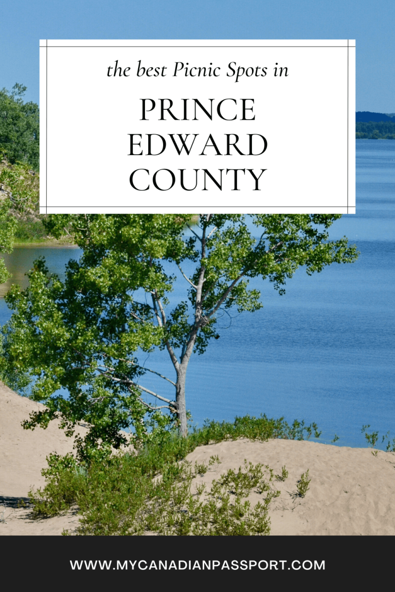 Discover the Best Picnic Spots in Prince Edward County: A Guide to ...